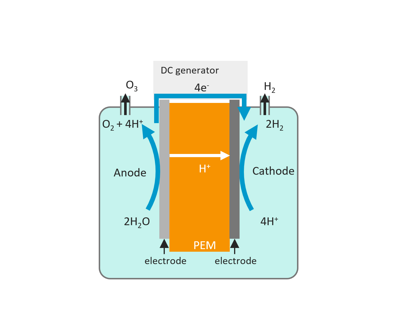 Hydrogen Energy | Celanese