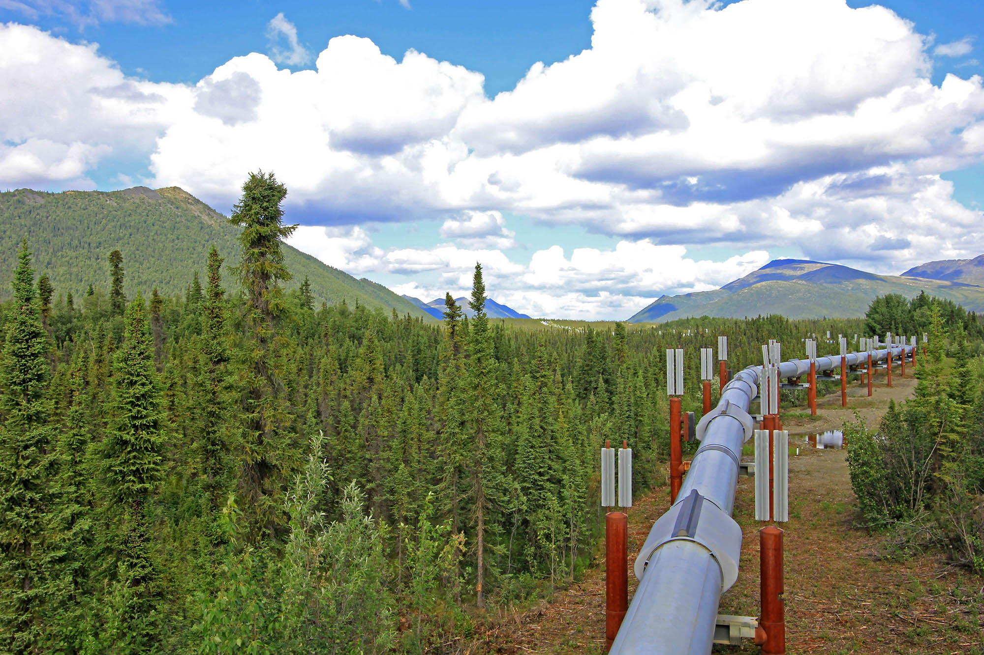 Pipe & Liner | Celanese