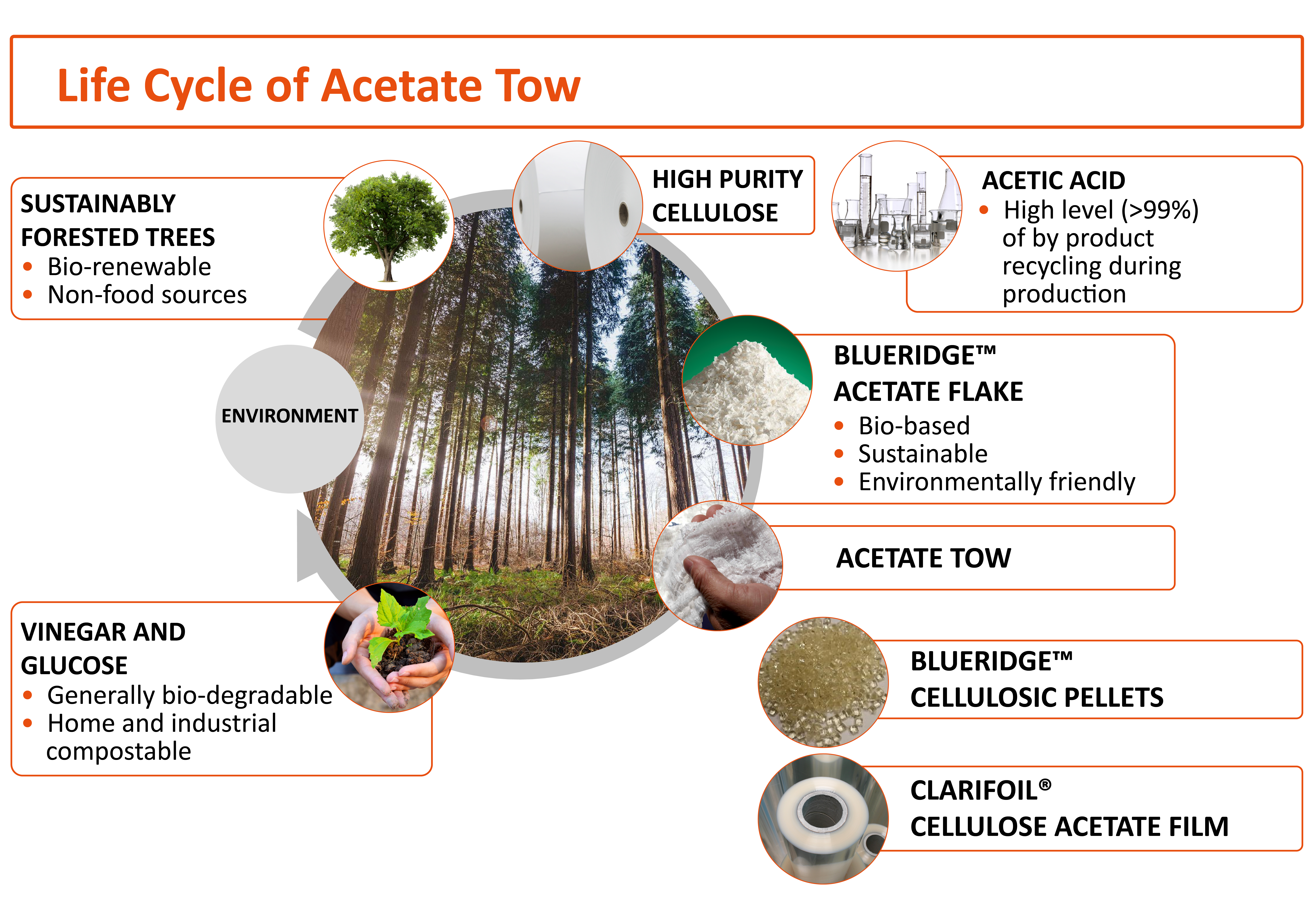 Cellulose Acetate Tow | Celanese