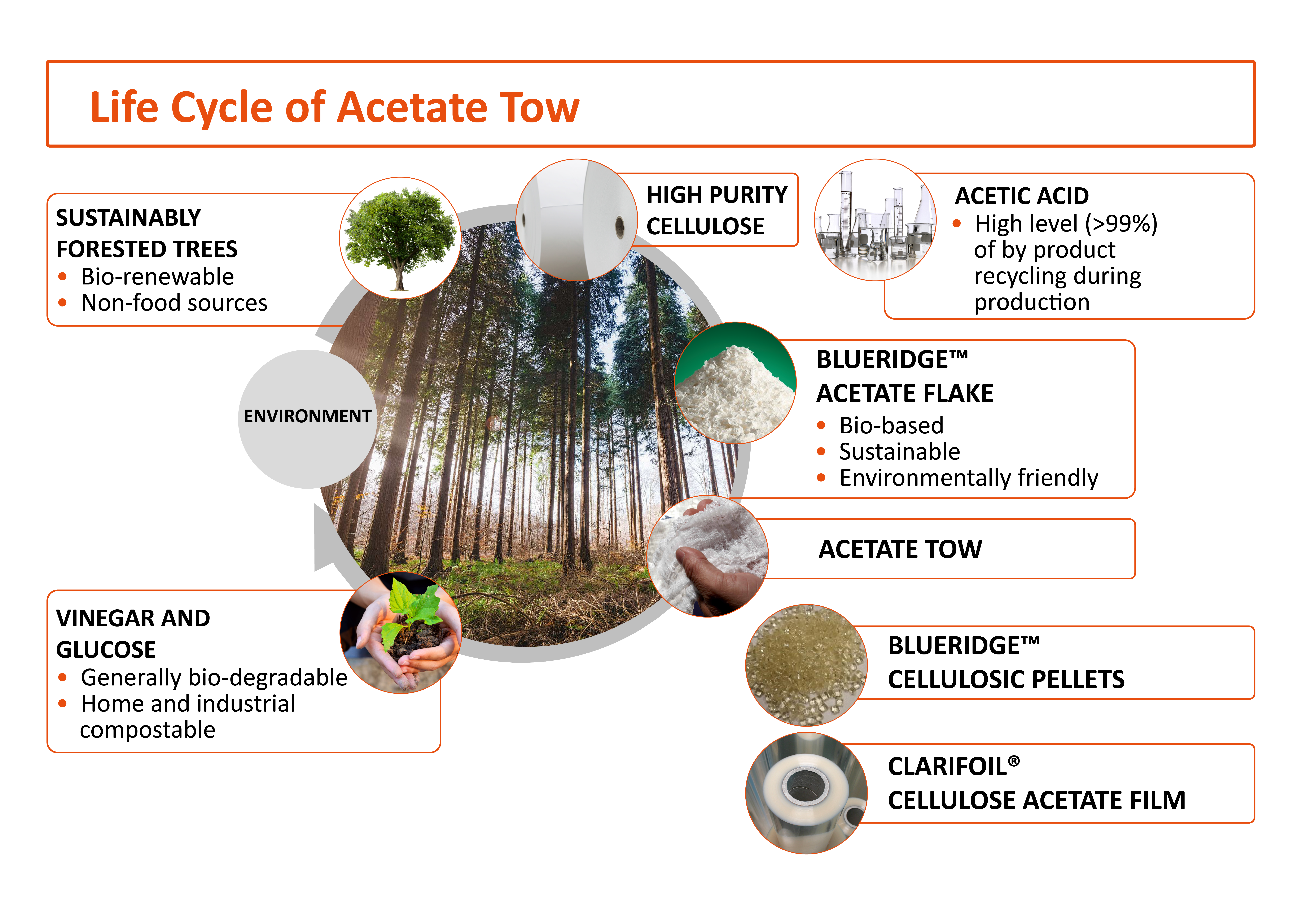 cellulose acetate examples