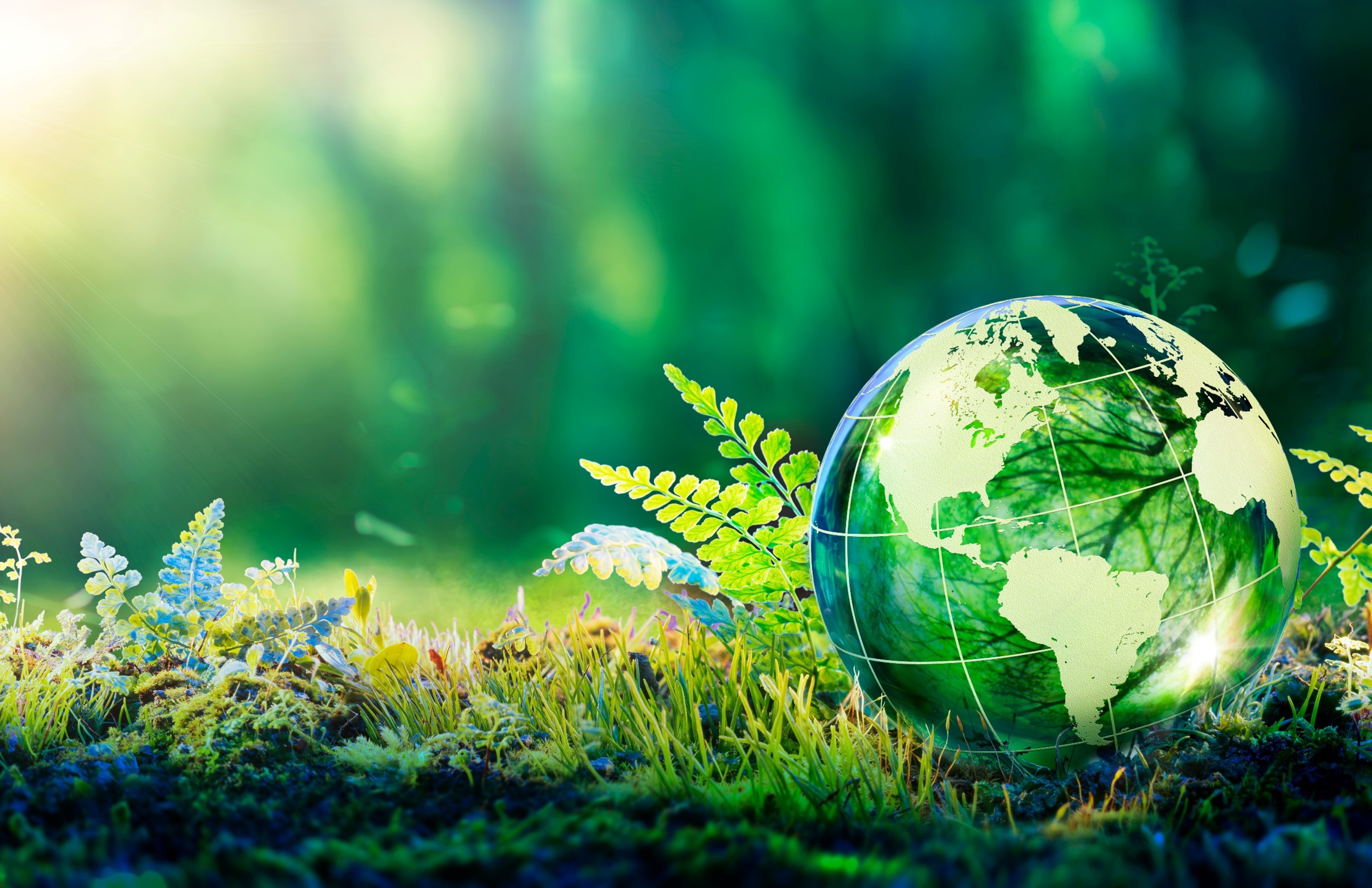 Polybutylene Terephthalate (PBT) | Celanex® & Crastin® | Celanese