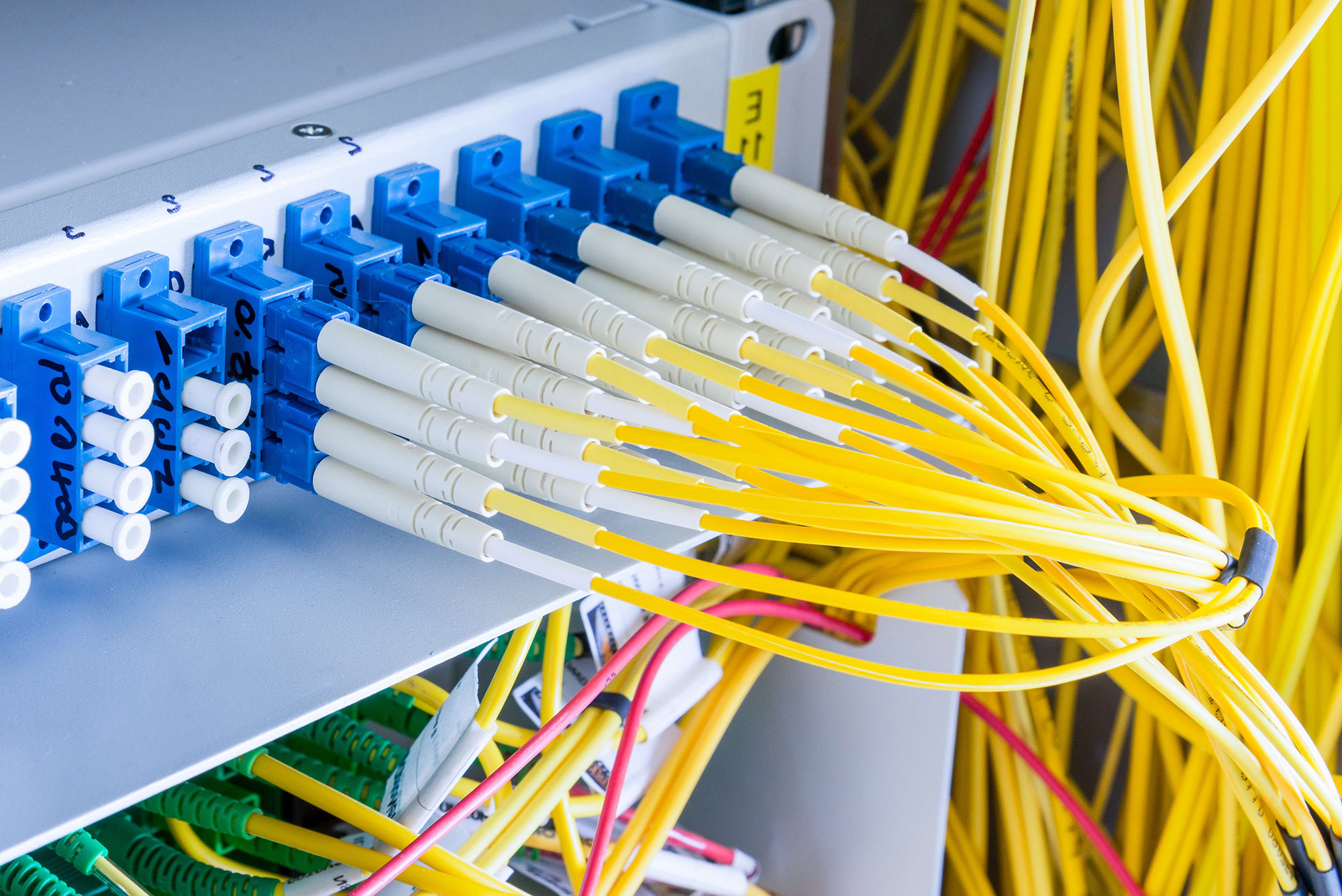 Polycyclohexylene Dimethylene Terephthalate | Thermx® | Celanese