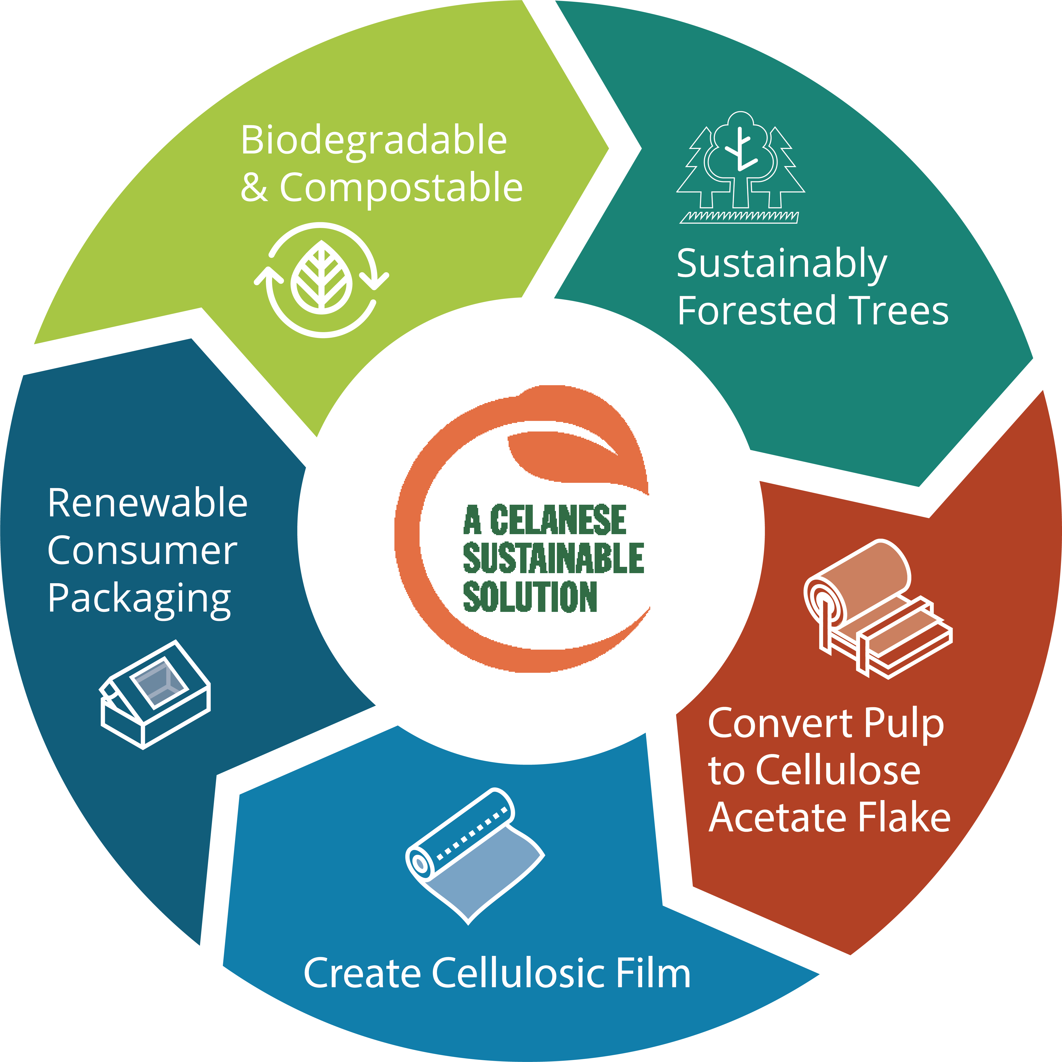 BioPolymer Solutions | Celanese